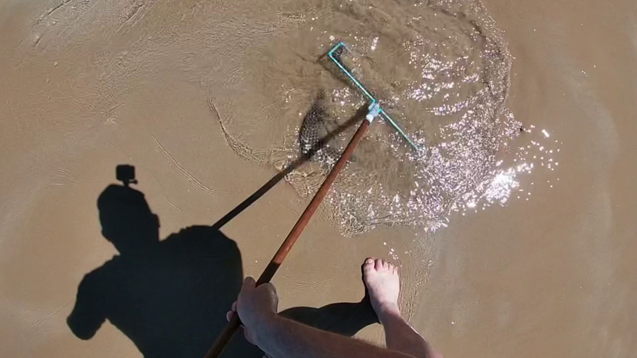 Goolwa Beach | cockles - YouTube