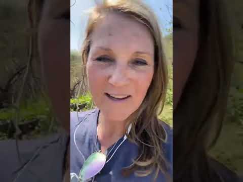 Women in Ministry: Godly Submission and the Ruth Spirit Not Jezebel ...