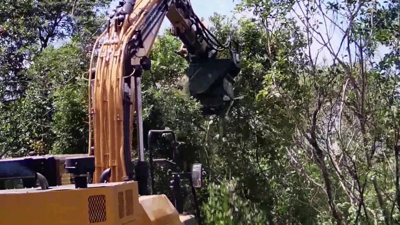 Brown Brontosaurus EVO Forestry Mower Head - Clearing Trees and Brush ...
