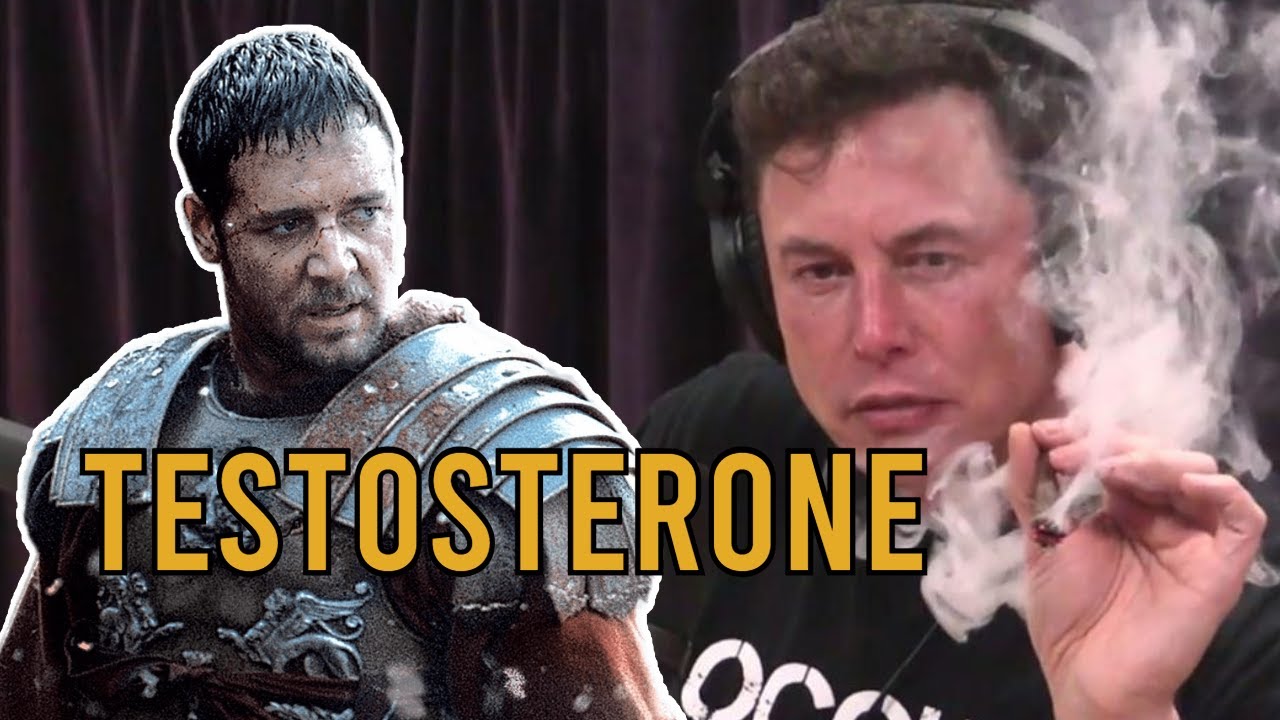 TESTOSTERONE EDIT - 10x BOOST - YouTube