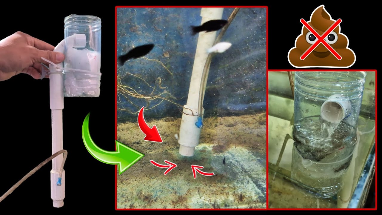 No fish waste in aquarium / DIY aquarium filter / fish waste clear ...