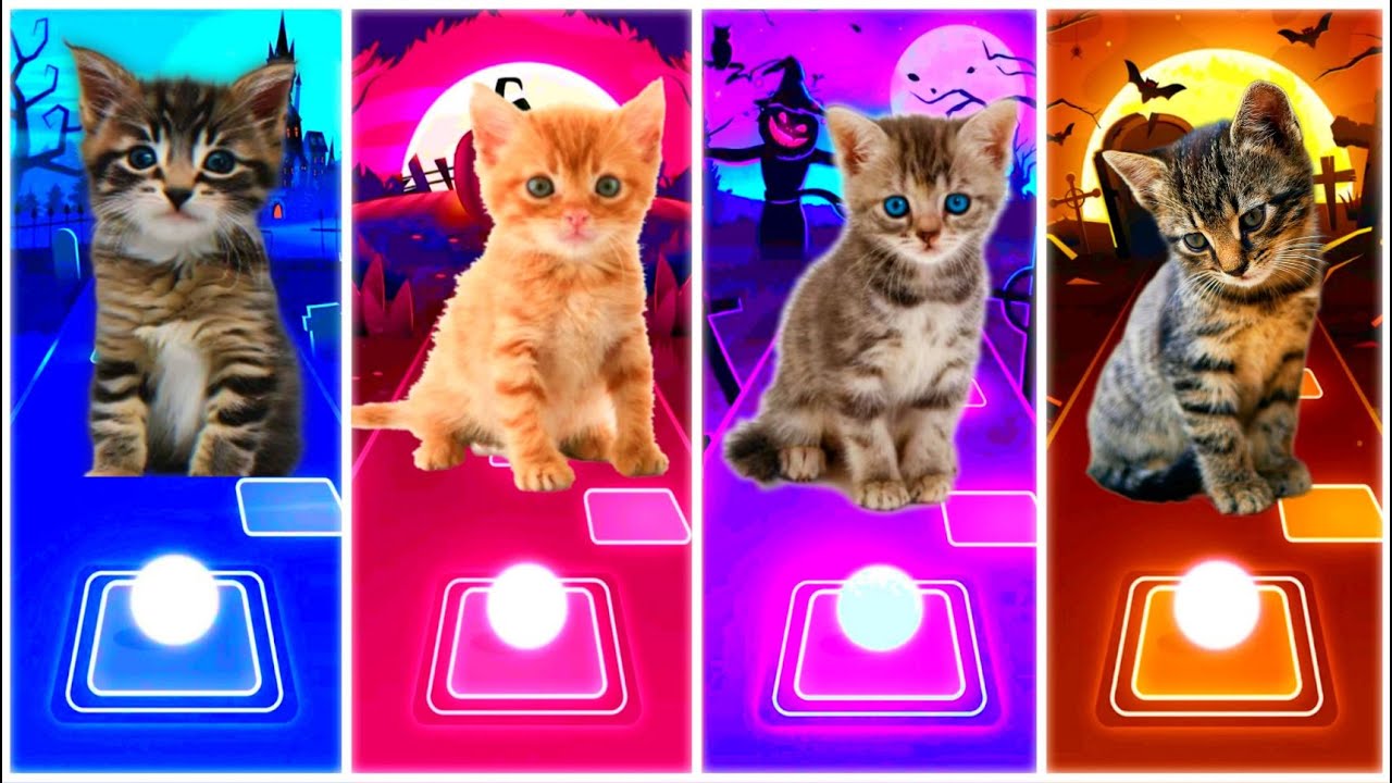 Tiles Hop EDM Rush - Cute Cats 😻😻😻 - YouTube