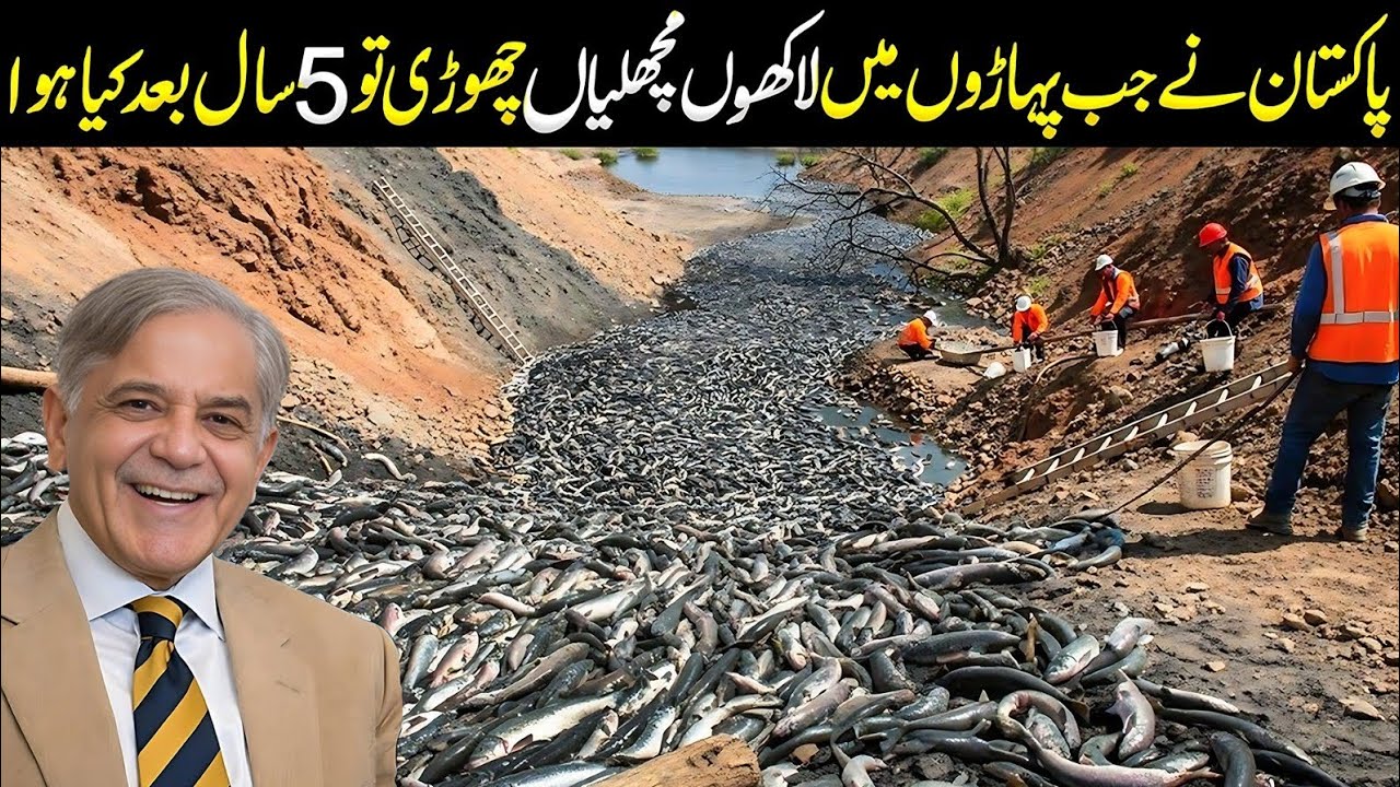Pakistan Released Millions of Fish in the Mountains - 5 Years Later ...