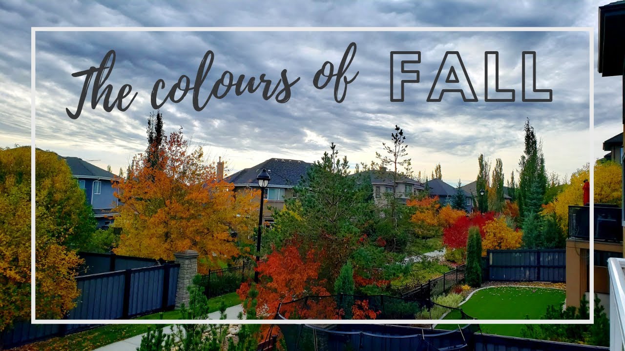 THE COLOURS OF FALL 2021 | EDMONTON | bernee bee - YouTube