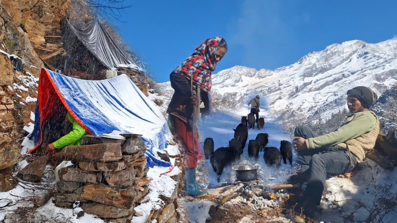Himalayan Village Farming Life in Nepal ||Wild Pig Farm Of Nepali ...