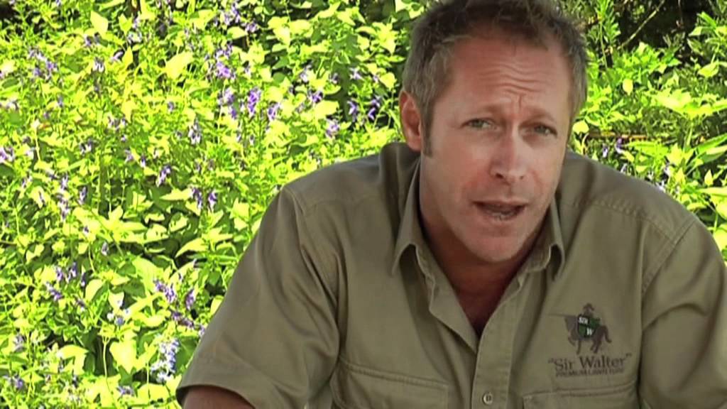 Controlling invasive grasses - Cobbitty Turf - YouTube