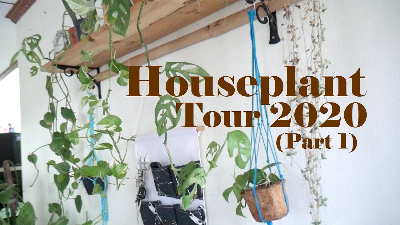 HOUSEPLANT TOUR 2020 (PART 1) + PLANT CARE TIPS (Philippines) | # ...