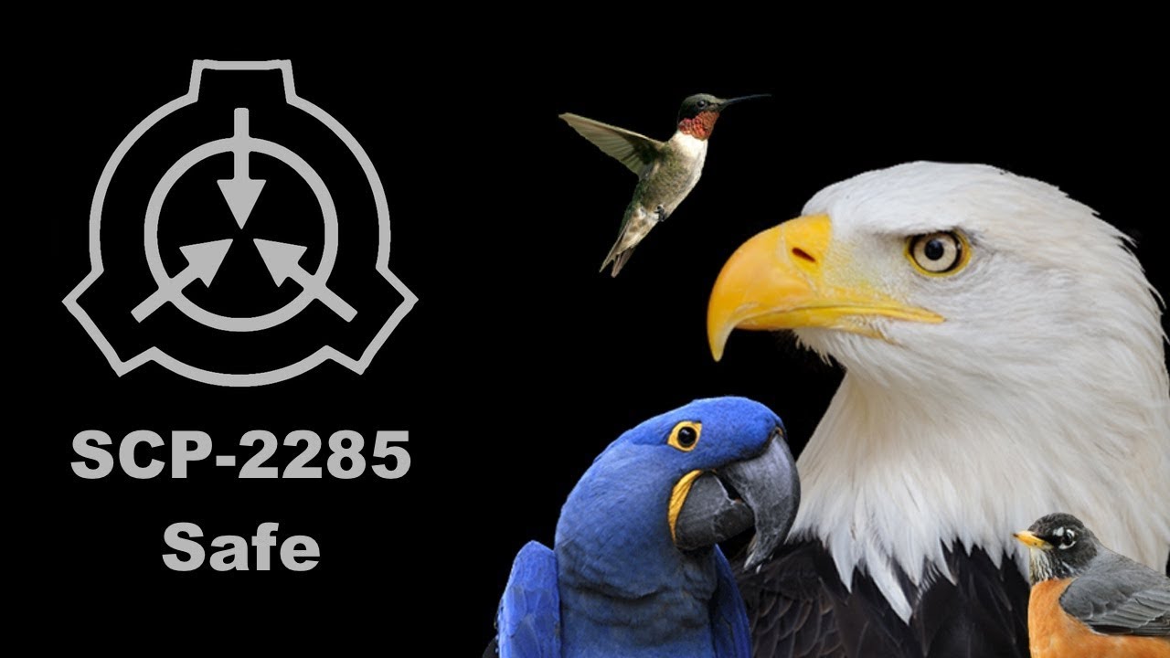 SCP-2285: Cloudivores - YouTube