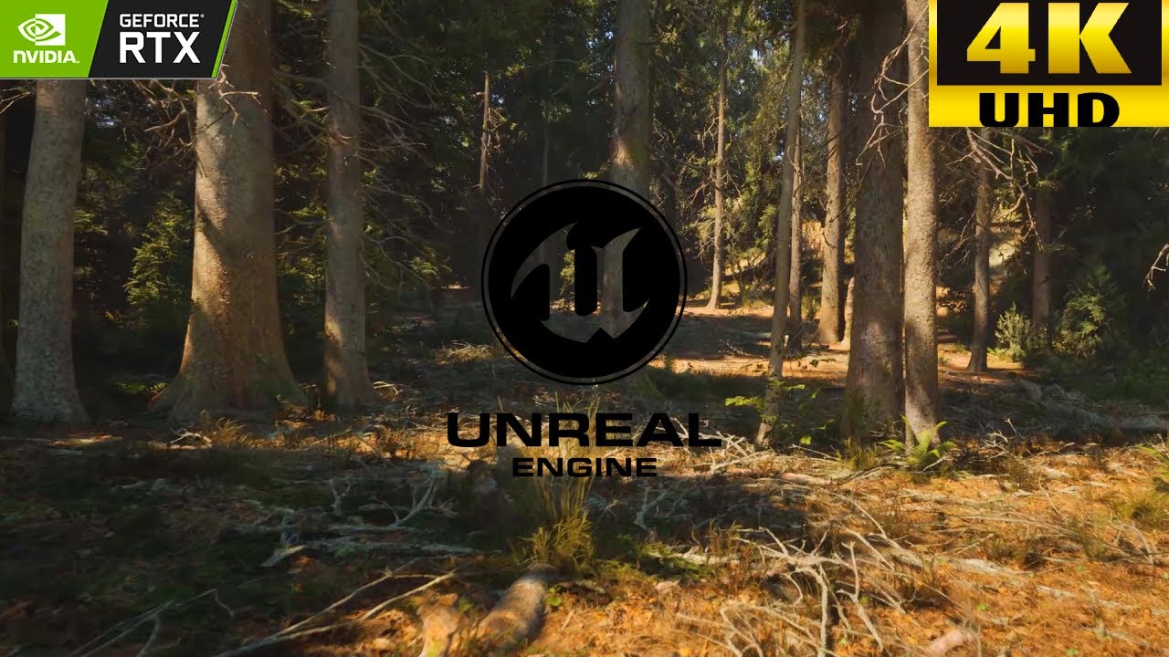 [4K] A walk in the forest - Unreal Engine 5 Reality Graphics on RTX ...