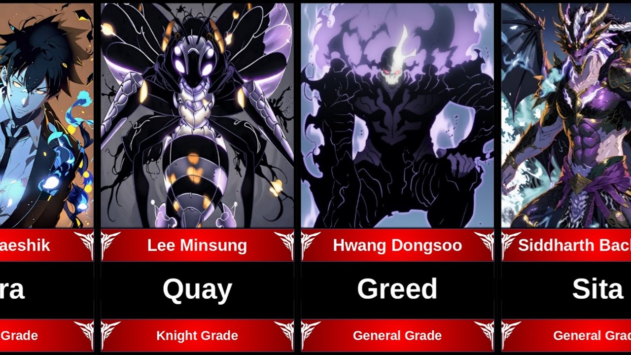 ALL NAMED SHADOWS OF SUNG SUHO IN SOLO LEVELING RAGANROK. WHAT NATIONAL ...