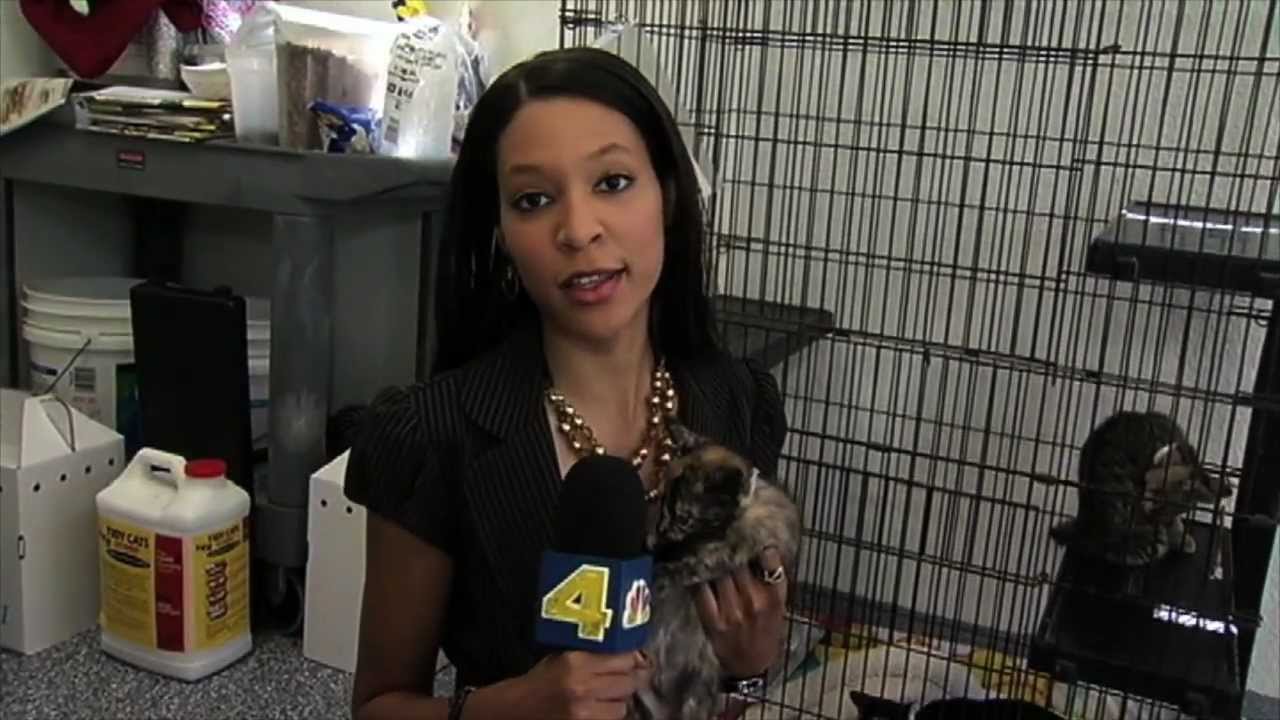 Heather Hope TV Reporter Reel - YouTube