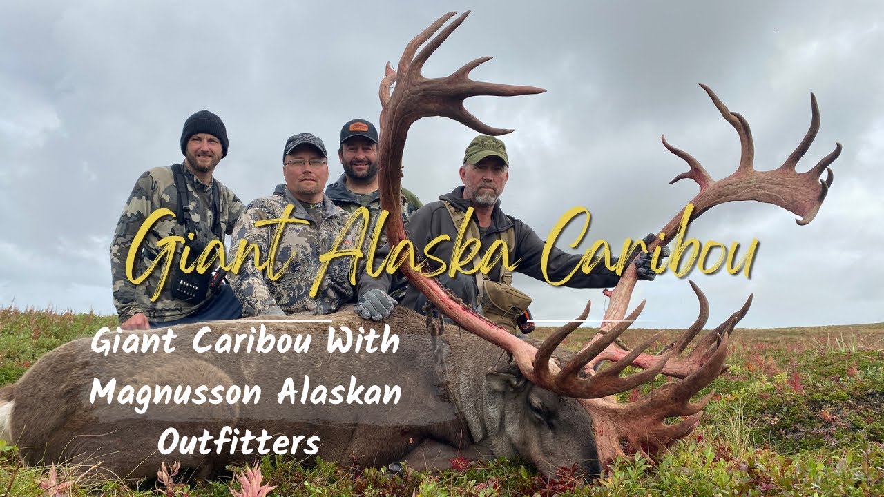 Land Of Giants! Hunting Giant Caribou in Alaska Part 1 - YouTube