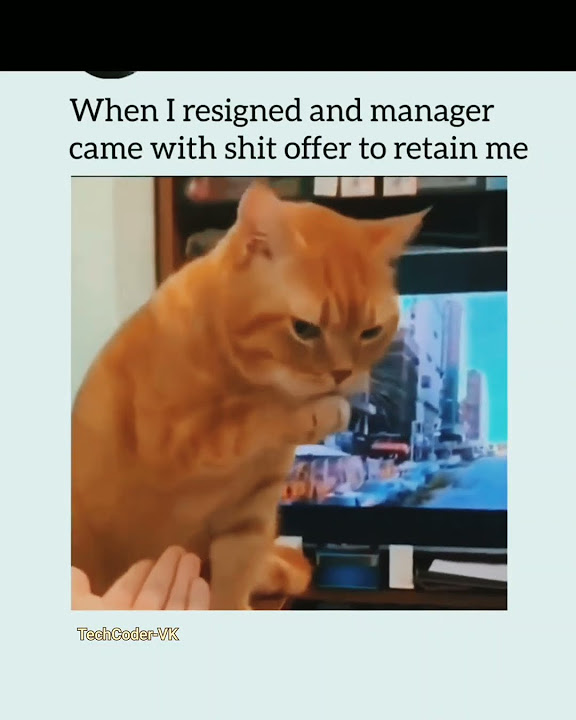 😁🤭programming Coding Webdevelopment Project C Javascript Funny