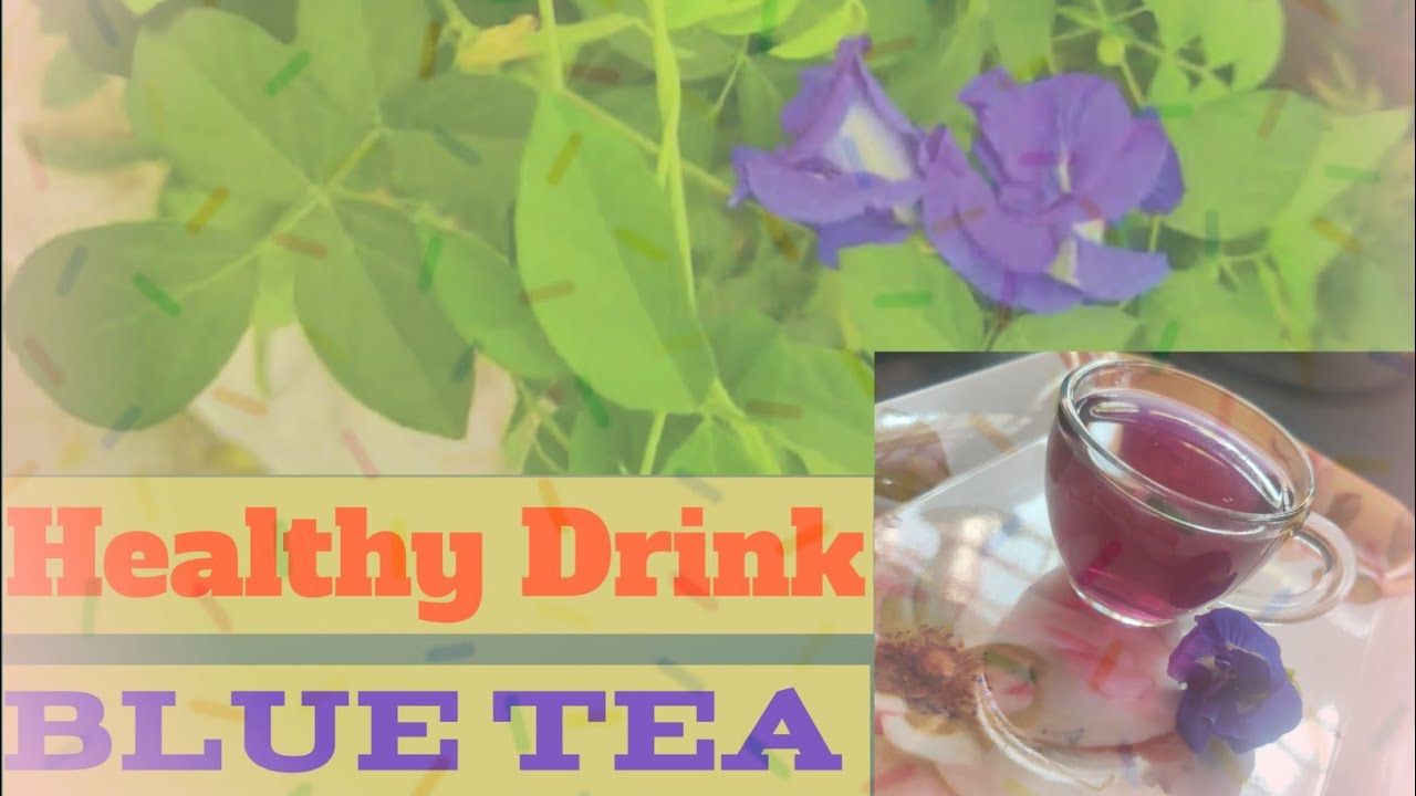 shanku puvvu TEA| aparajita flower tea| kitchen and Farm Clicks| - YouTube