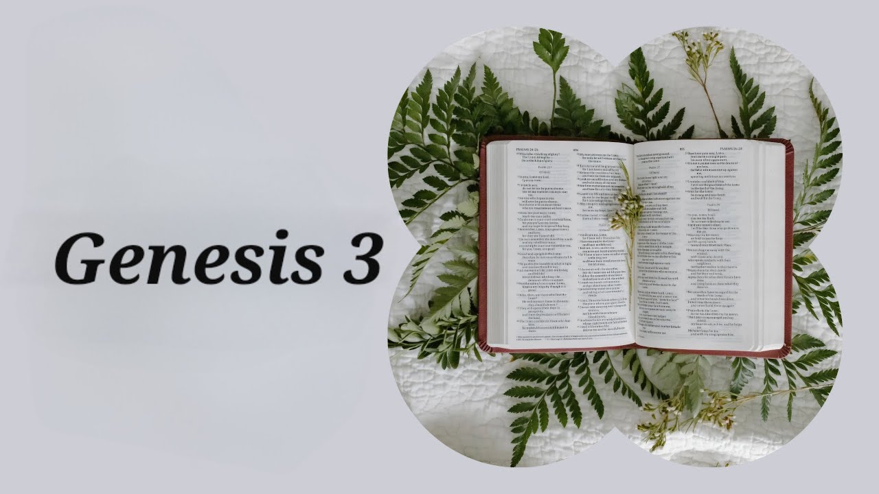 Genesis Chapter 3 《ACHAPTERADAY 》 《Audiobible 》 - YouTube