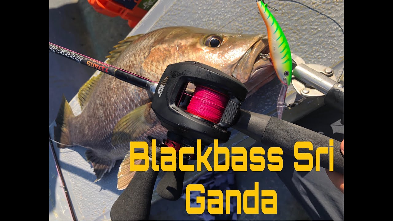 Sri Ganda Blackbass ( Apit , Iping , Fendi KN) - YouTube