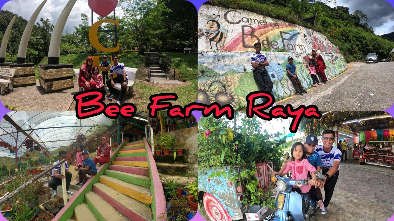 Cameron Highland Bee Farm Raya - YouTube