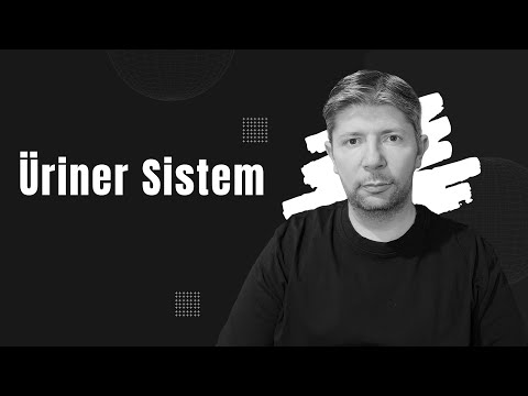Üriner Sistem (Boşaltım Sistemi)  #aytbiyoloji #ürinersistem  #boşaltımsistemi #sarmalbiyoloji