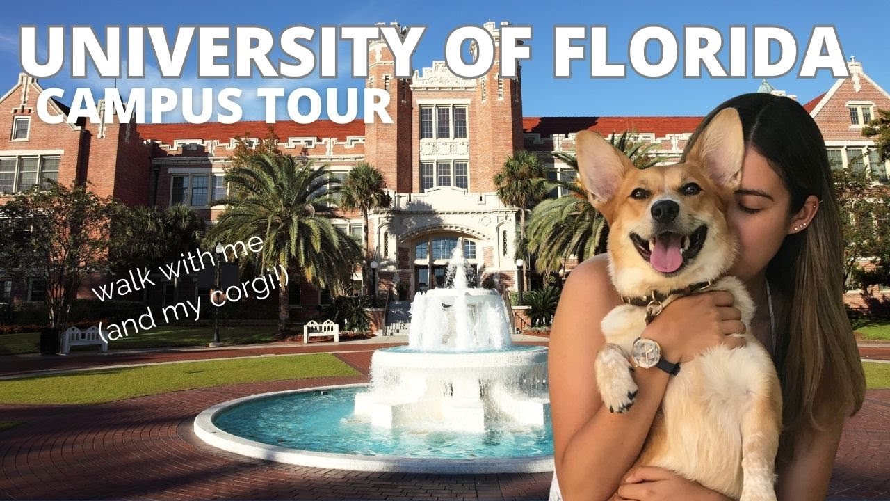 University of Florida Campus Tour for Incoming Students | Walk with Me ...