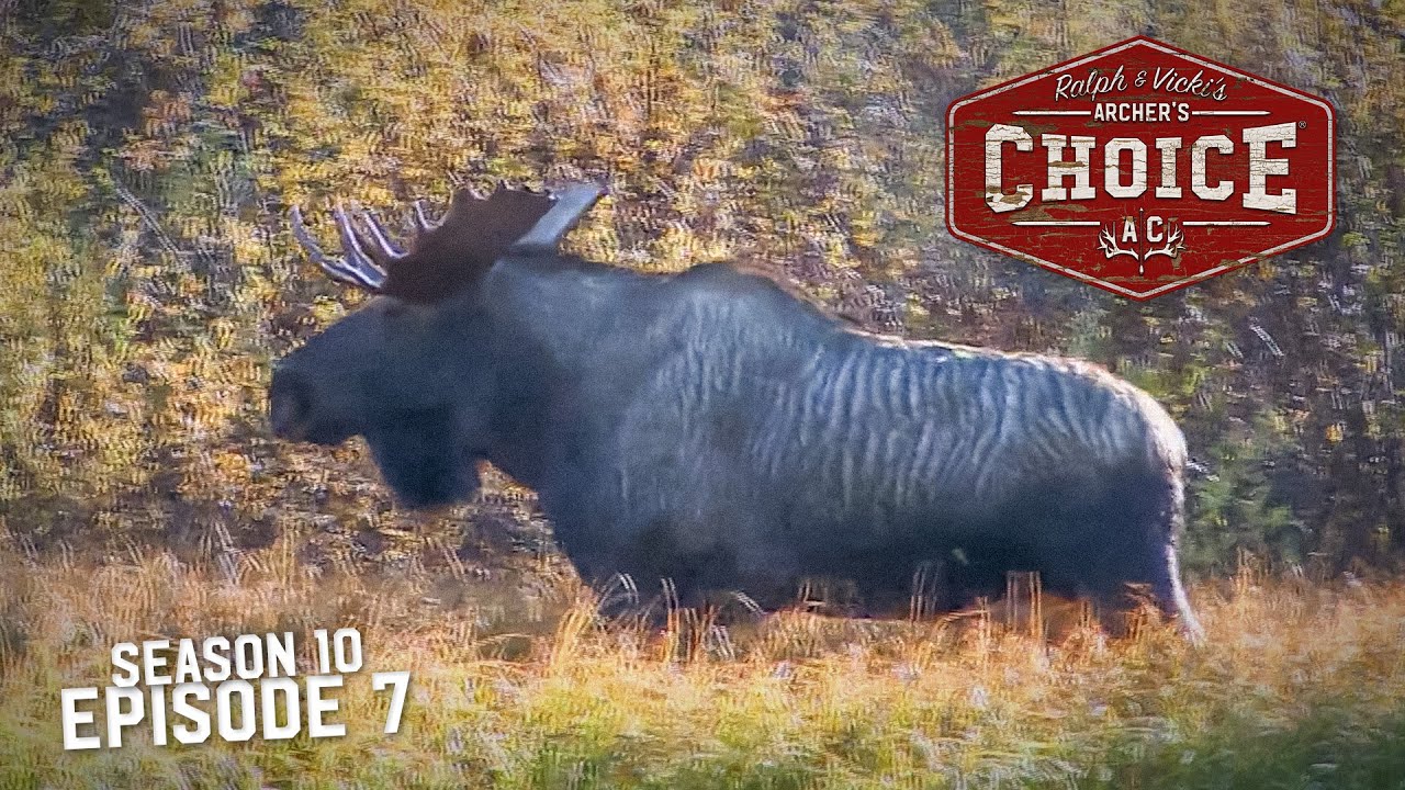 MOOSE MANIA - Part 2 - Archer’s Choice (Full Episode) // S10: Episode 7 ...