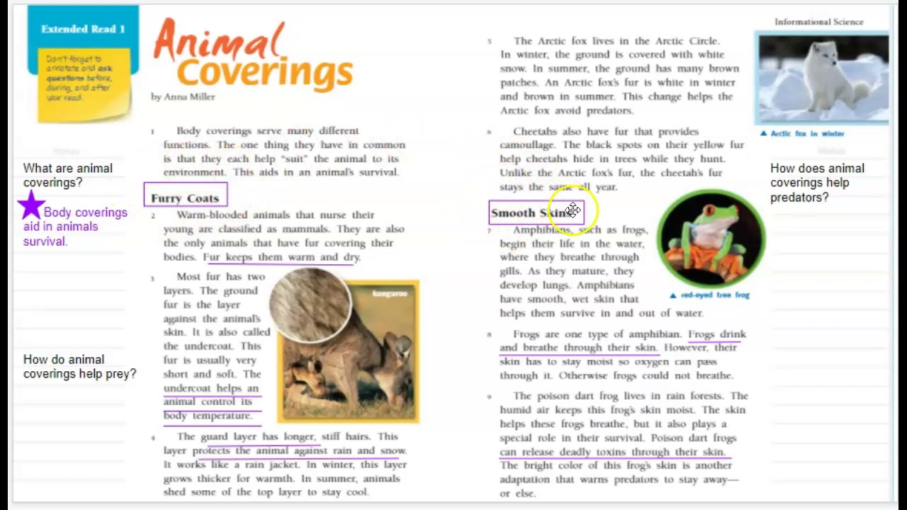 Animal Coverings Day 3 - YouTube