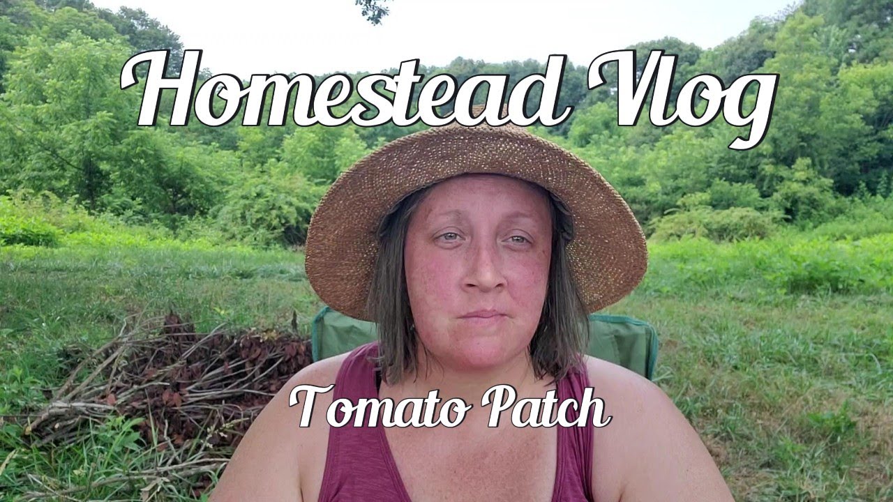 Homestead Vlog 2~June 2024 Tomato Patch Tour - YouTube