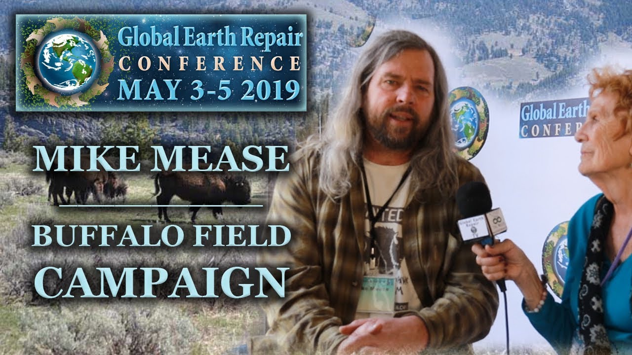 Mike Mease - Buffalo Field Campaign - Interview at GERC2019 - YouTube