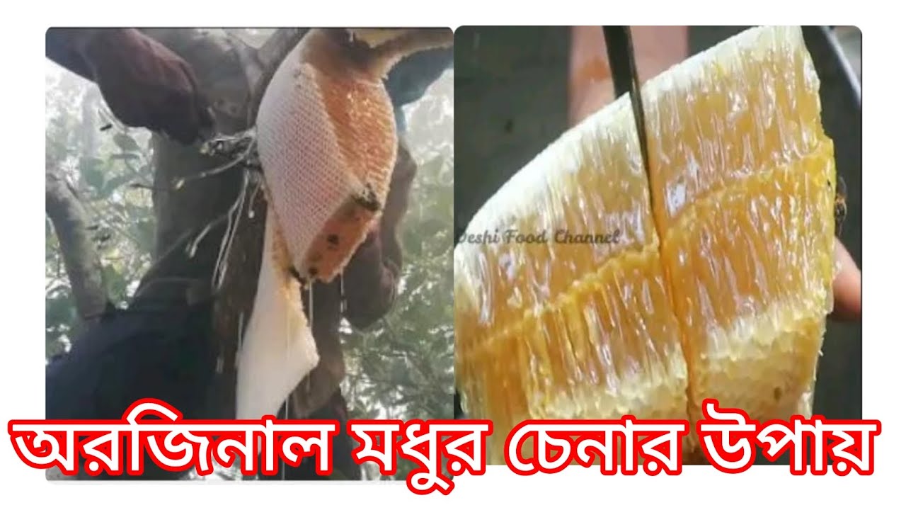 খাঁটি মধু চেনার উপায় | Khati modhu chenar upay - YouTube