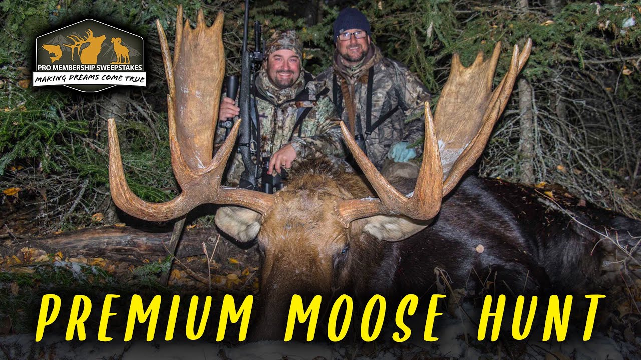 Pro Membership Sweepstakes Drawing for Premium Moose or Moose/White ...
