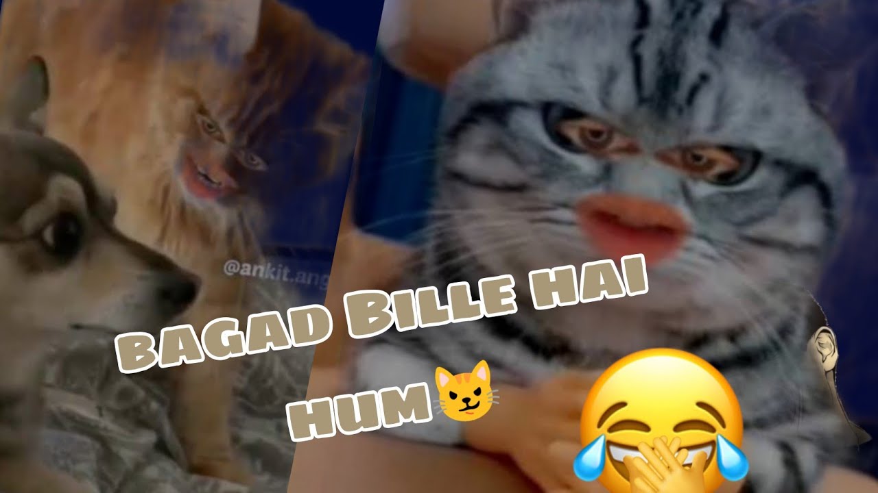 bagadbilla funny best😎video /Creppy ram - YouTube