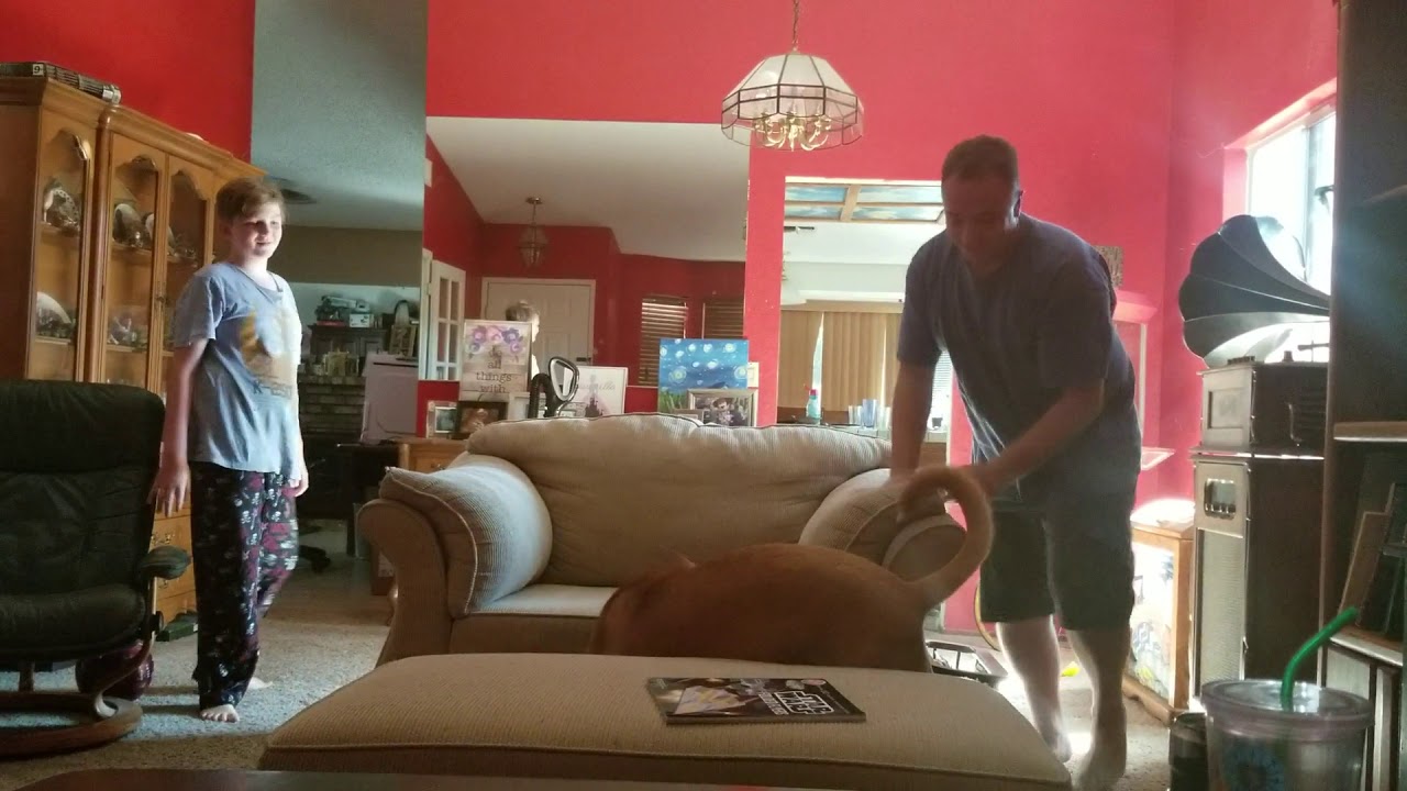 playing keep away - YouTube