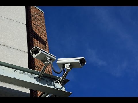 Anna Collignon over de ontwerpwijziging van het Bor (uitvoering wet VTH ...