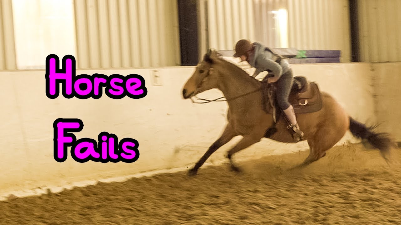 Horse Fails 🙈🦄 Und das ist erst der Anfang von 2020 😂 - YouTube