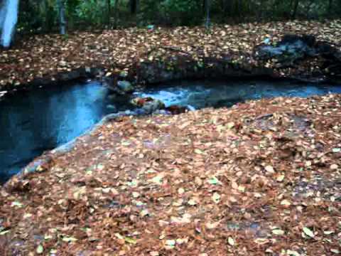 NACIMIENTO DEL RIO CONCA - YouTube