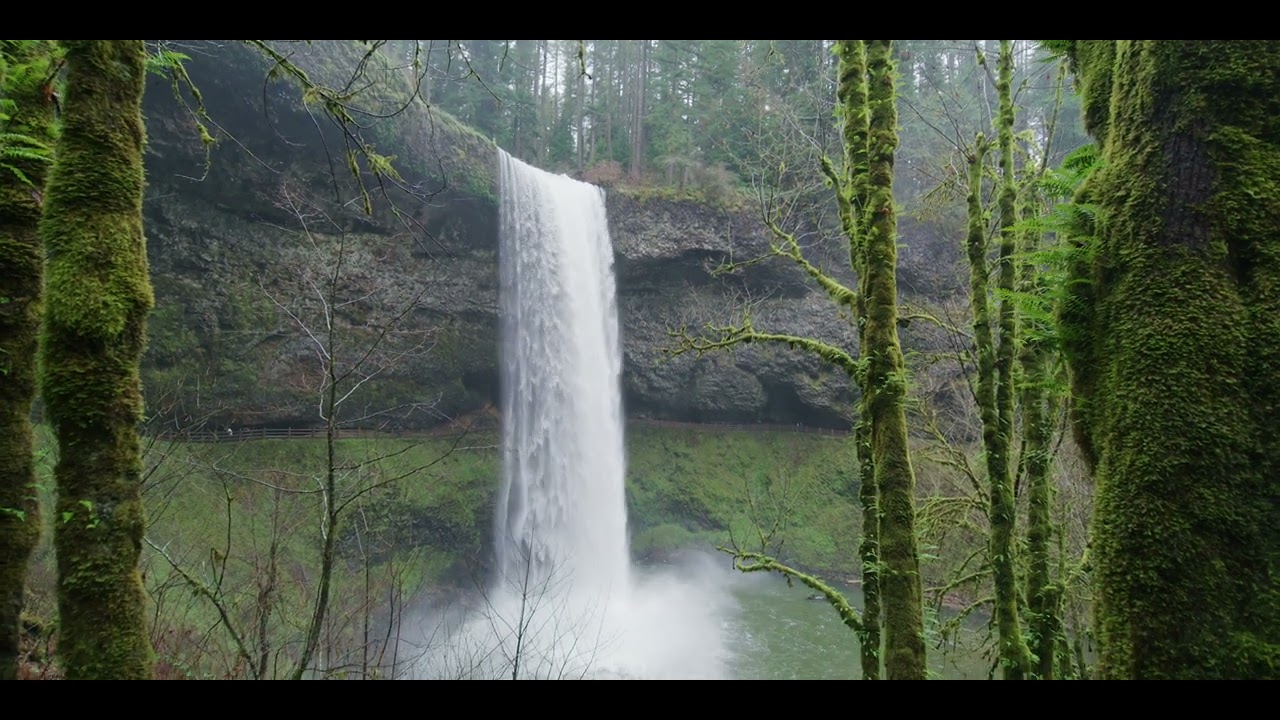 😲wow😍 beautiful scene - YouTube