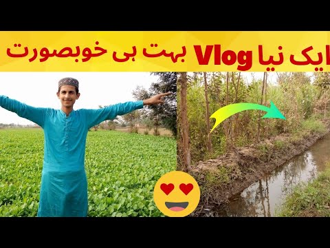 Vlog #16_ Ek Naya Vlog😍 Bahut hi Khoobsurat 💓 ! Beauty scenes! Vlogs By ...