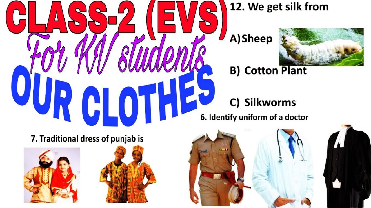 QUIZ (Test Yourself) OUR CLOTHES/ class 2 EVS / Question Answers ...