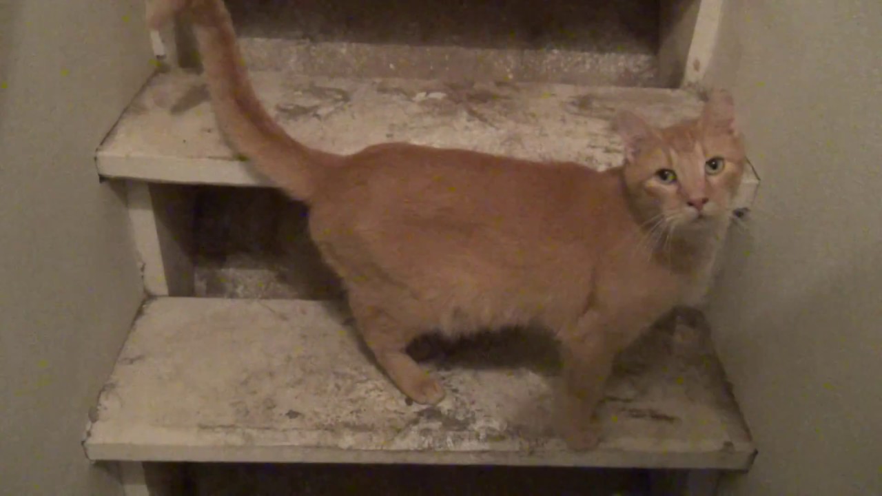 A Day in the Life of Rick Kepple - YouTube