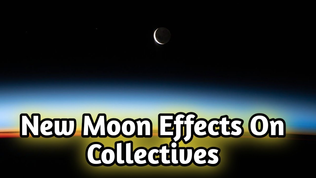 New Moon 🌙 Effects On Collectives 💞 All Signs Collective Timeless Tarot ...