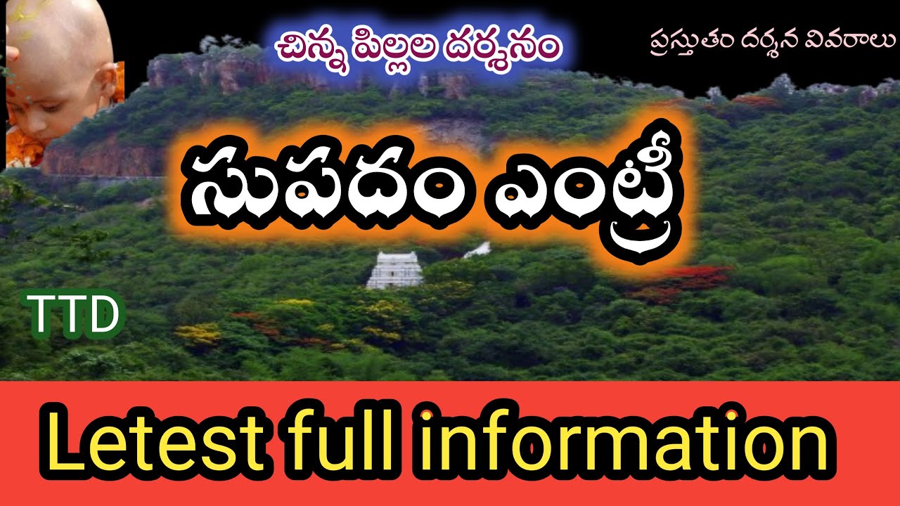 Supadam entry tirumala || Infant dharshan || TTD dharshan updates ...