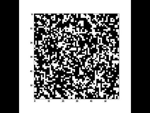 Ising model Simulation - YouTube