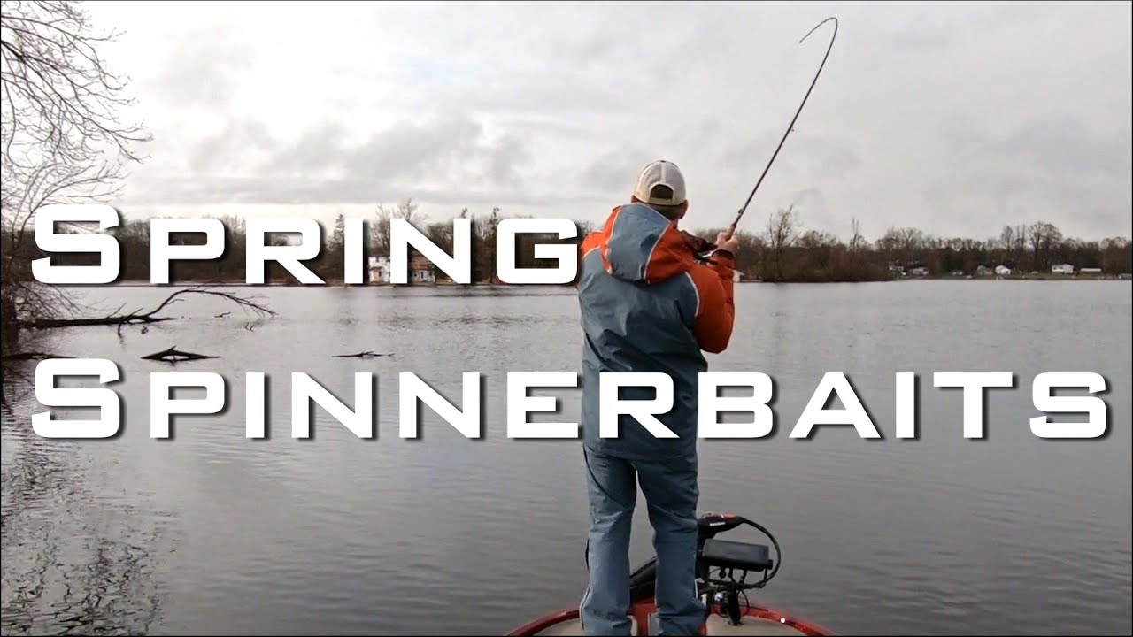 Spring Spinnerbait Fishing - YouTube