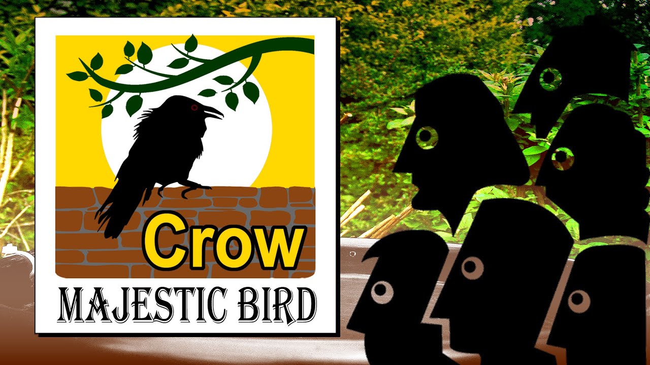 Rough bird💀☠️ - YouTube