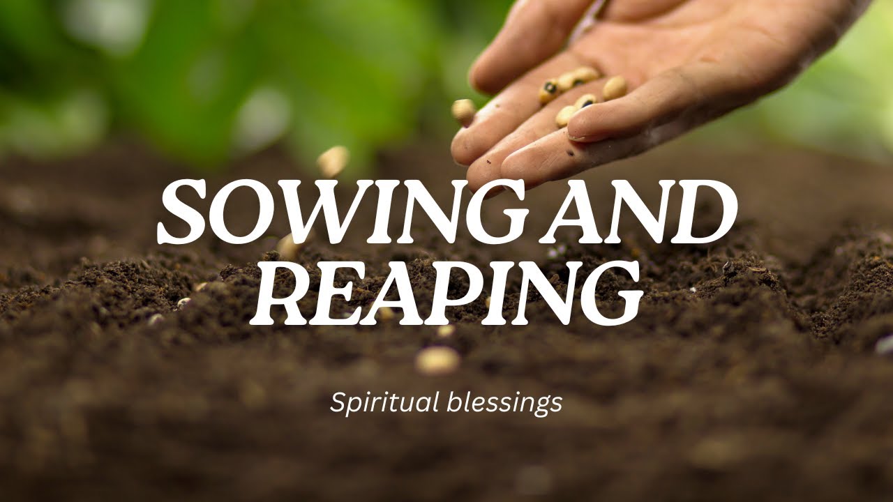 Sowing and Reaping | SPIRITUAL BLESSINGS | Part Three | Andrey Tsupruk ...
