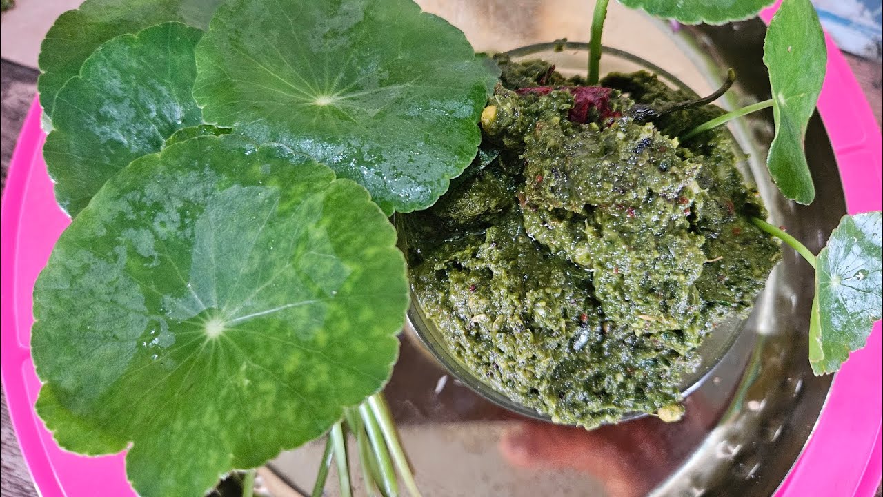 ಬ್ರಾಮ್ಮಿ ಚಟ್ನಿ ಮಾಡುವ ವಿಧಾನ BRAMI CHETNI RECIPE - YouTube