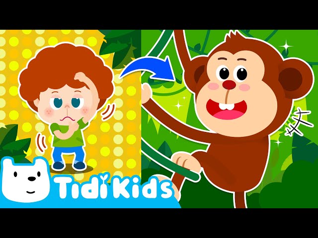 Fun Animal Transformation Songs Collection | Change Song Compilation ...