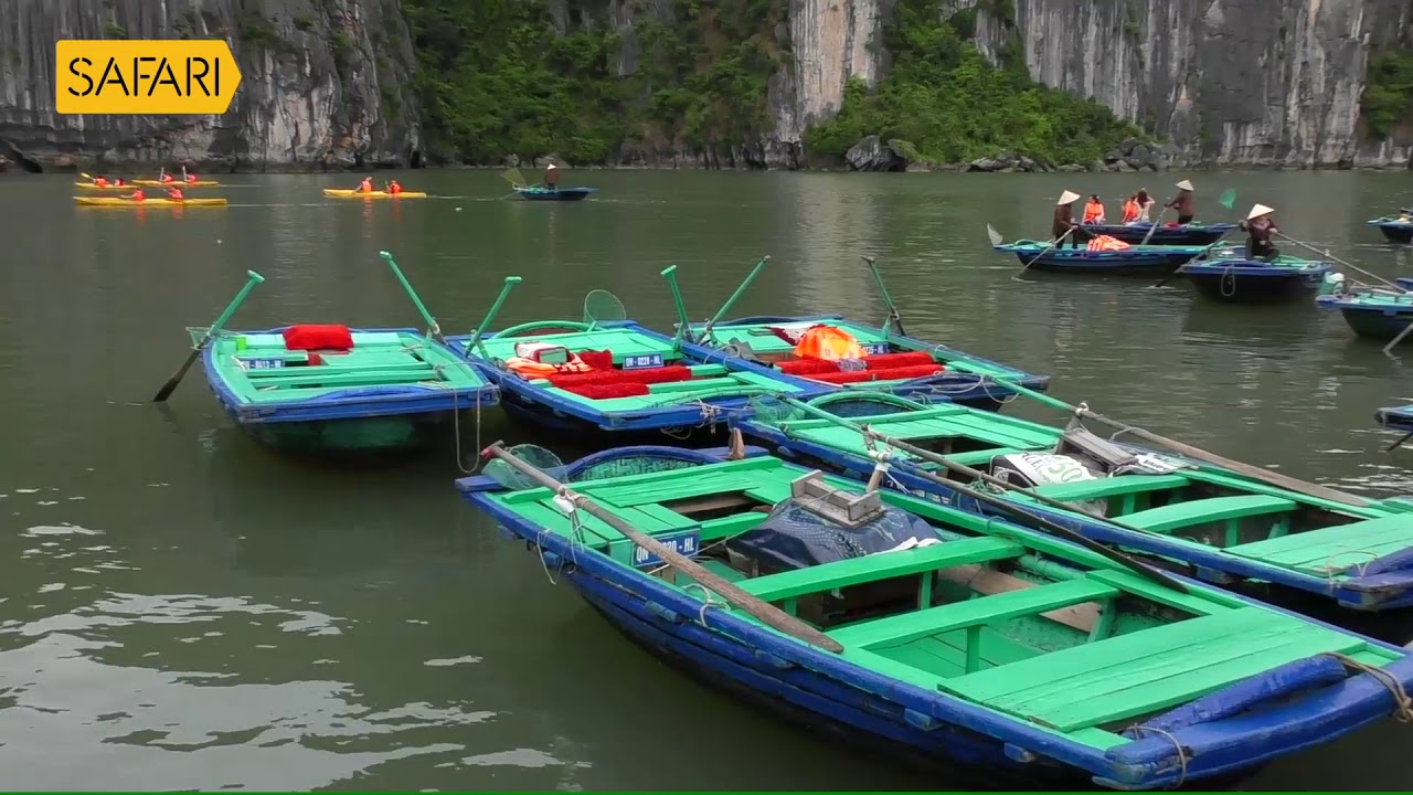 Hạ Long Bay: Bamboo Boat Journey | Vietnam | Safari TV - YouTube
