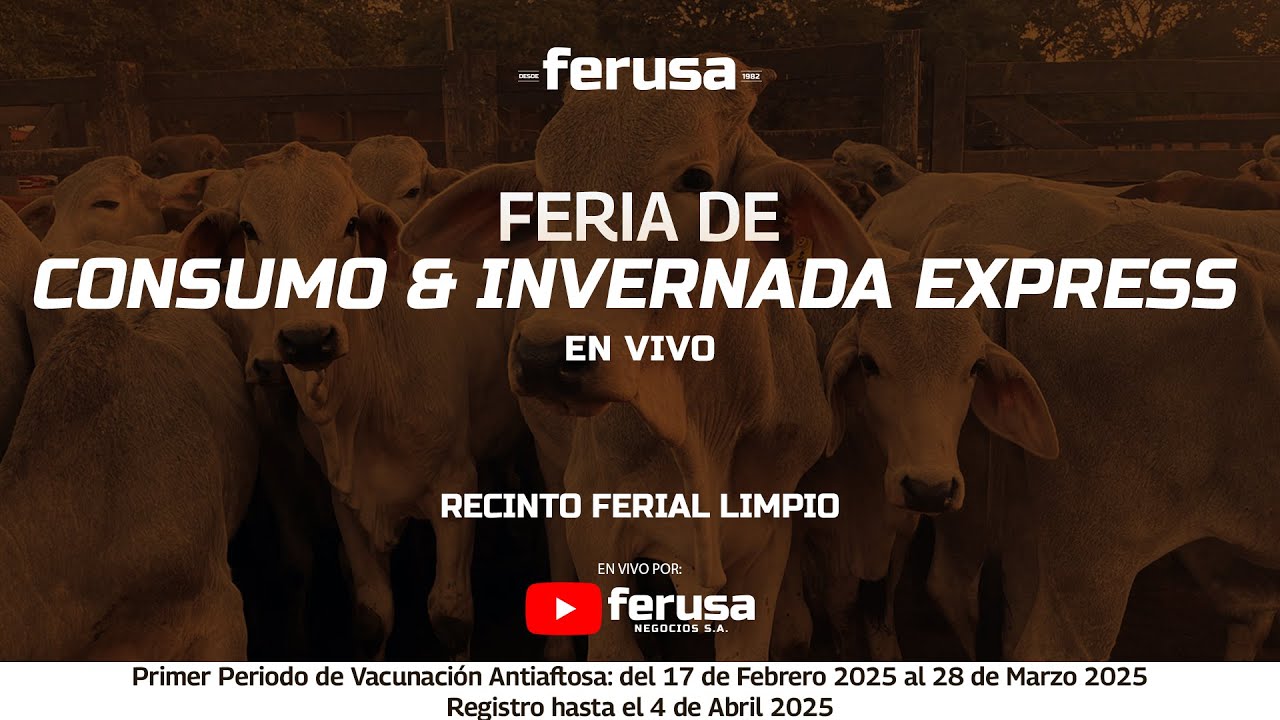 FERIA DE CONSUMO E INVERNADA EXPRESS | FERUSA NEGOCIOS S.A. - YouTube