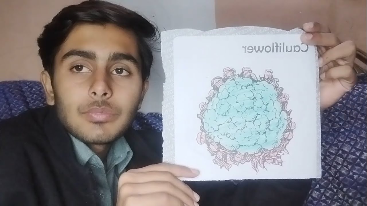 Color the picture of a cauliflower with colored pencils - GUGUDREAD ...