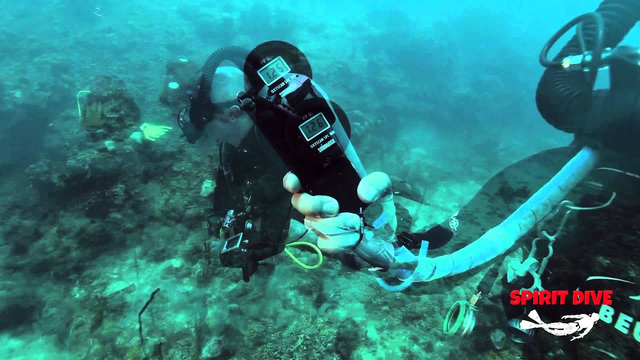 Spirit Dive - YouTube